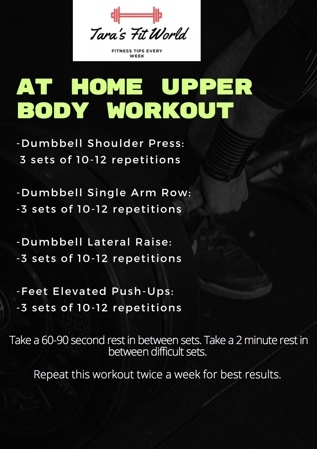 Part 2: New Upper/Lower Body Split Program (Video Tutorials) – Taras ...